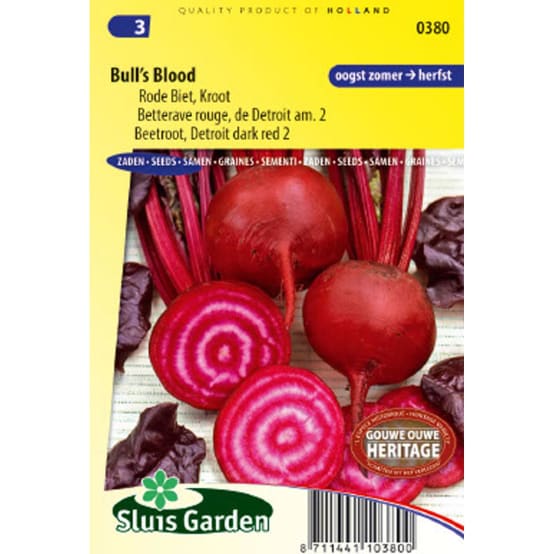 Betterave rouge Bull's Blood le sachet de 200 graines (5g) - Jardiland