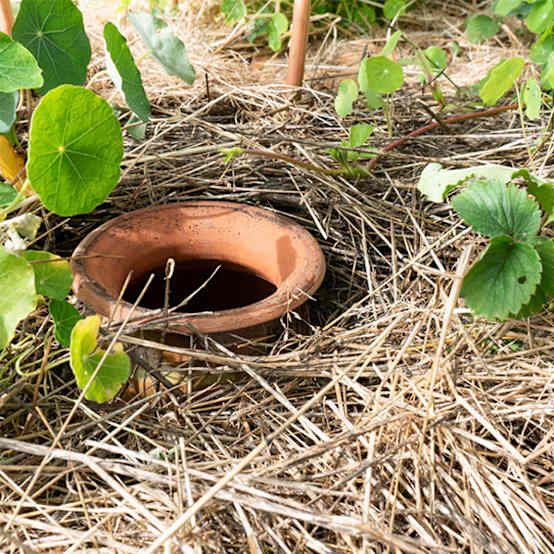 4 Ollas à enterrer 0,3L - Jardiland