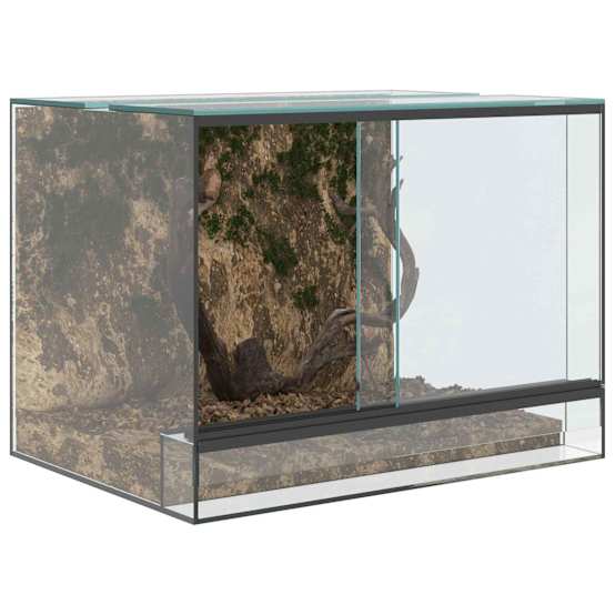 Terrarium avec stockage Transparent 40 x 30 x 30 cm Verre vidaXL ...