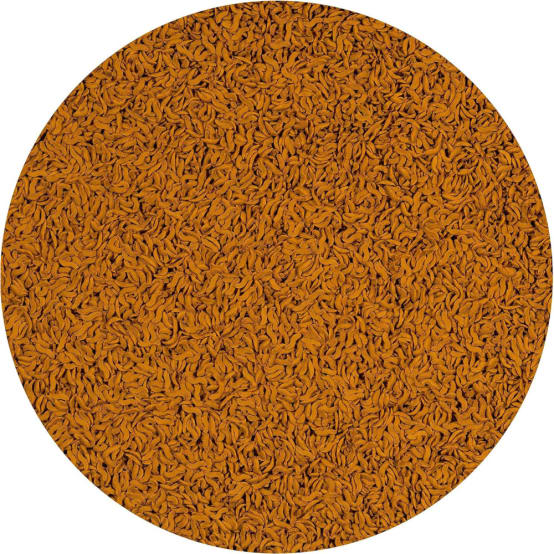 Goldfish Wave Sticks 34 g -100 ml Aliment complet pour les poissons ...