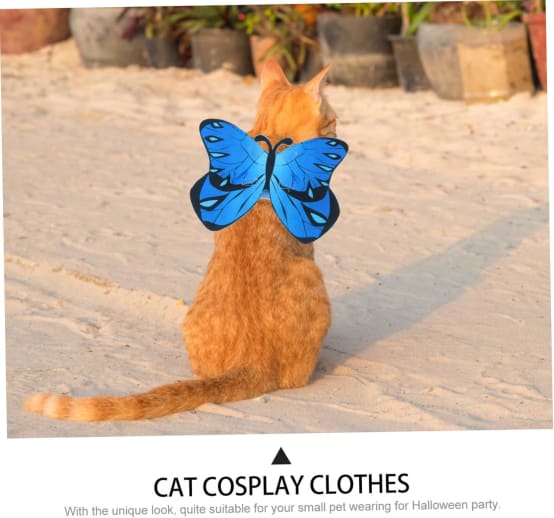 Costume chat Halloween DtopbuyAge - Jardiland