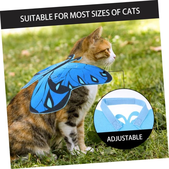 Costume chat Halloween DtopbuyAge - Jardiland