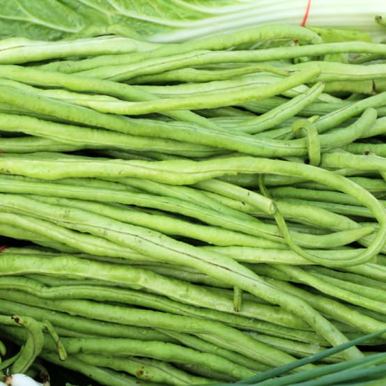 Haricot à rames kilomètre - Vigna sesquipedalis le sachet de 450 ...