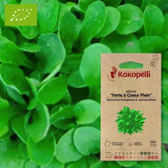 Graines bio à semer - Mâche Verte à Coeur Plein- Association Kokopelli ...