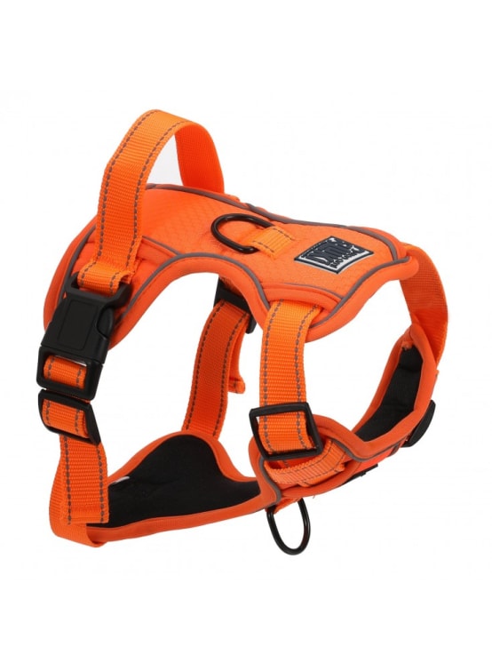 HARNAIS REFLECHISSANT ORANGE - Mon Ami Luki - Jardiland