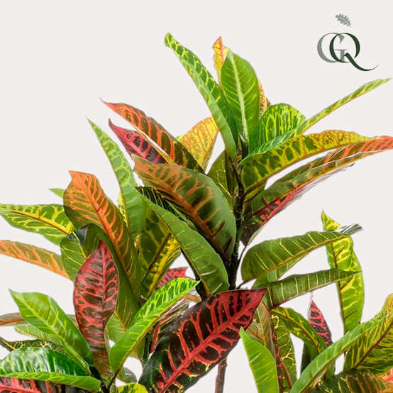 Plante Artificielle Croton Codiaeum Tronc Bois Déco Intérieur Réaliste ...