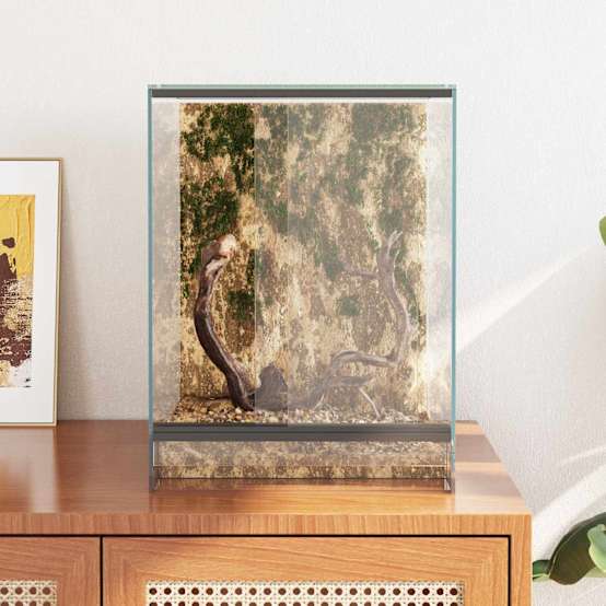 Terrarium avec stockage Transparent 30 x 30 x 40 cm Verre vidaXL ...