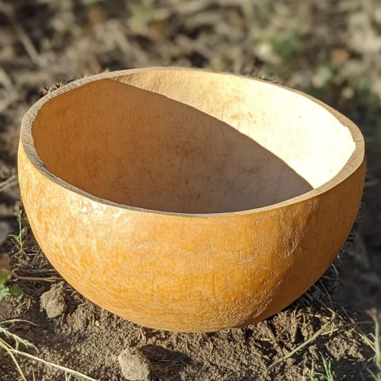 10 Graines de Calebasse - SemiSauvage Permaculture - Jardiland