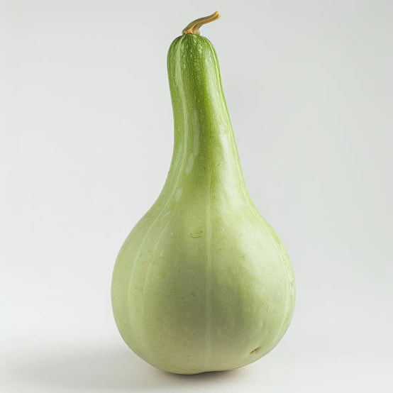 10 Graines de Calebasse - SemiSauvage Permaculture - Jardiland