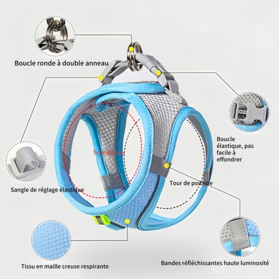 Harnais réglable pour chat IntiMeg - Jardiland