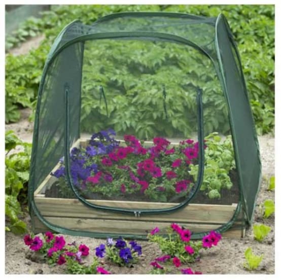 Serre Pop-Up pour carré potager – voile anti-insectes - Jardiland