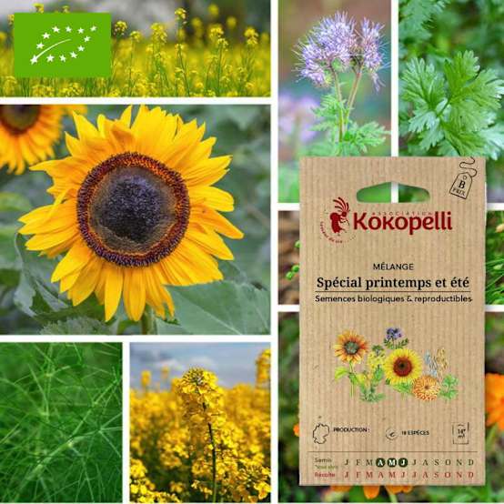 Graines bio à semer - Mélange Spécial Printemps et Été- Association ...