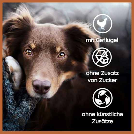 Wildfang Friandises au lait de prairie — Sans céréales, sans sucre ni ...