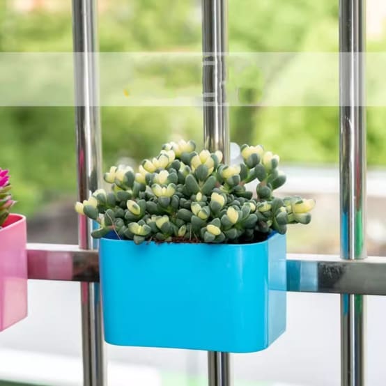 MCBOSON Support pour Pot de Fleurs, Accroché sur la Barrière de Balcon ...