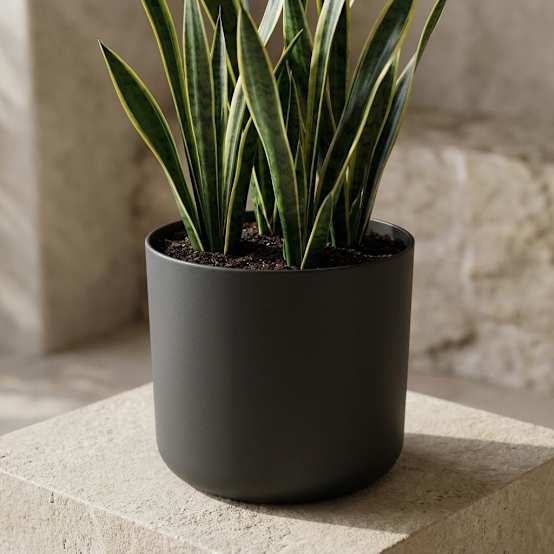 Cache-pot Rond Effet Mat Pour Intérieur et Décoration 18cm Anthracite ...