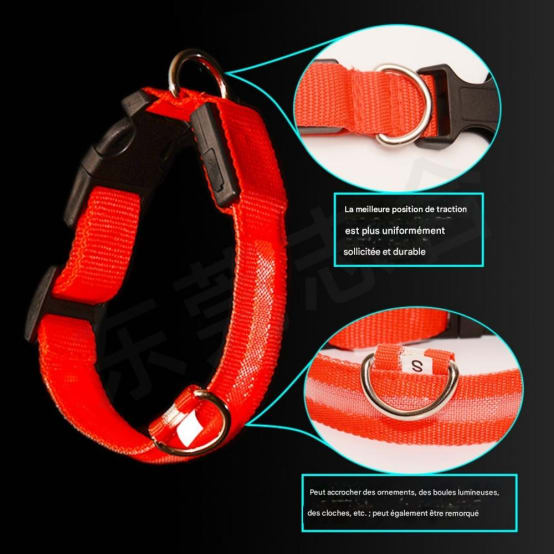 Collier LED anti-perte pour chien Rouge MCBOSON - Jardiland