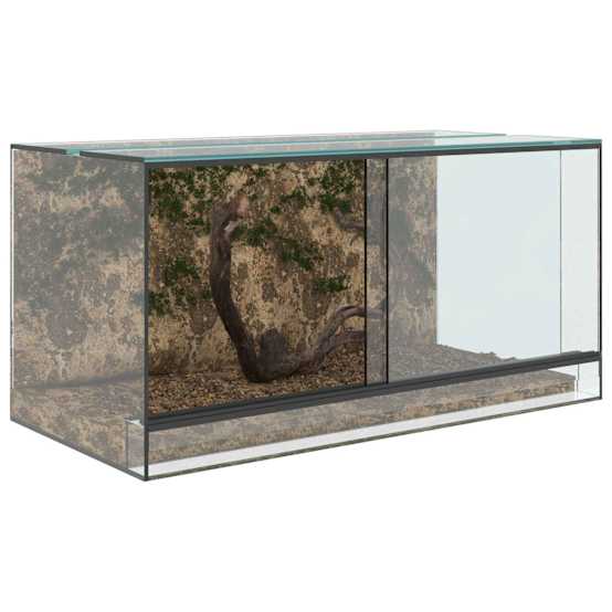 Terrarium avec stockage Transparent 80 x 40 x 40 cm Verre vidaXL ...