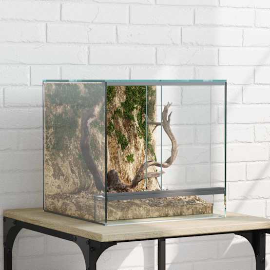 Terrarium avec stockage Transparent 30 x 30 x 30 cm Verre vidaXL ...