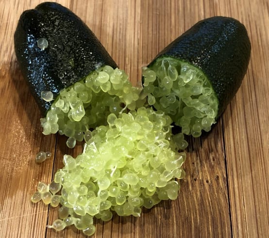 Microcitrus australasica pulpe verte (Caviar de citron) Taille:Pot de 9 ...