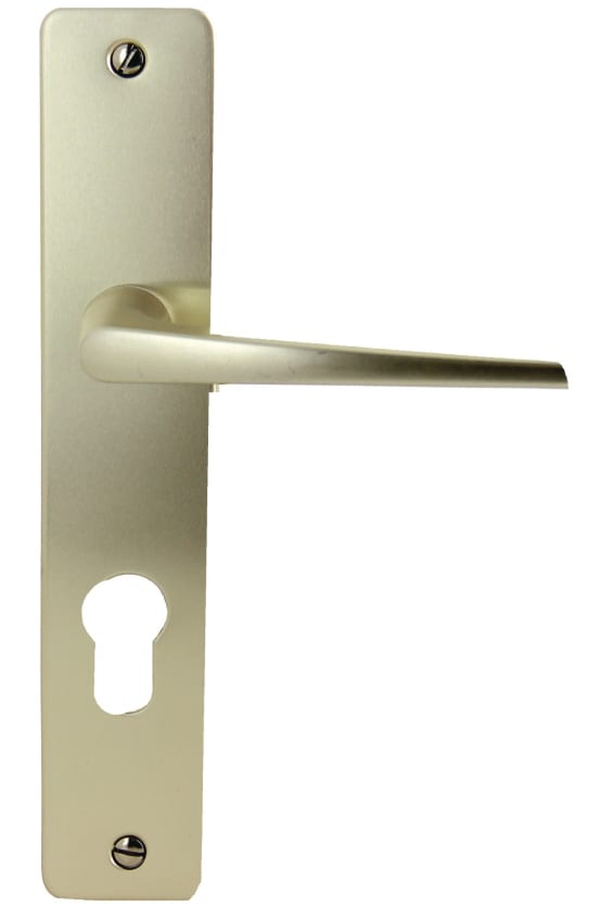 Poigné pour palière G351 gauche - FICHET - 72414694 - Jardiland