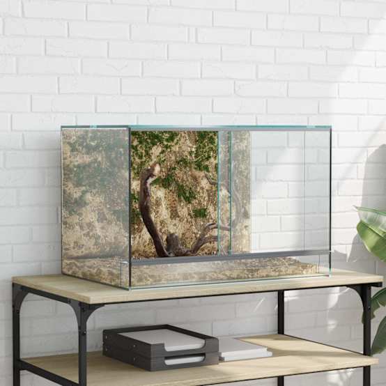 Terrarium avec stockage Transparent 60 x 40 x 40 cm Verre vidaXL ...