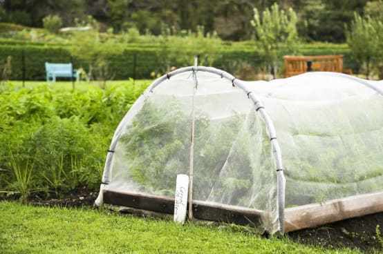 Filet Anti-Insecte 3m x 10m - Maille Fine pour Potager, Jardin et ...