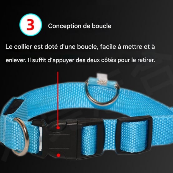 Collier LED anti-perte pour chien Bleu ciel S MCBOSON - Jardiland