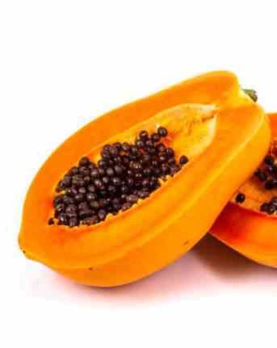 Papayer ADULTE : Carica papaya solo - Jardiland