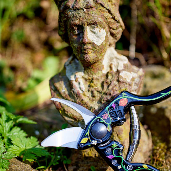 FELCO 6 Sécateur Édition Stéphane Marie - Sécateur Ergonomique pour ...