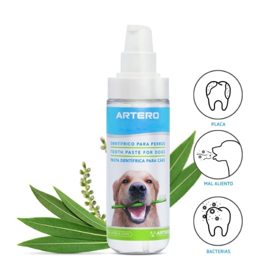 Artero Dentix. Gel dentifrice pour chiens. Maintient à distance le ...
