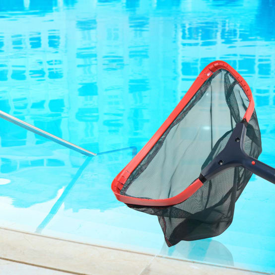 Épuisette de fond Révolutionx1 - Outil Indispensable pour Nettoyer Votre Piscine - Jardiland