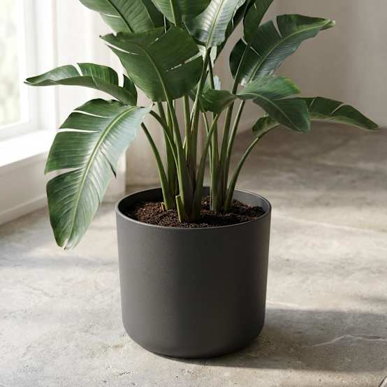 Cache-pot Rond Design Intérieur Finition Mat Soft Anthracite 25cm ...