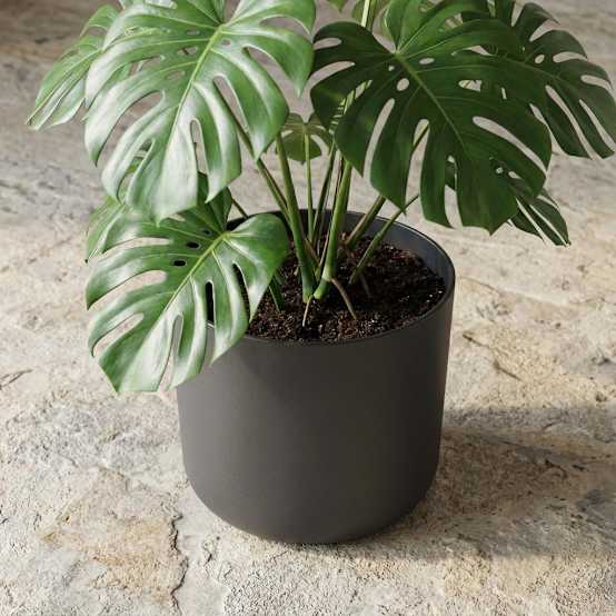 Cache-pot Rond Design Intérieur Finition Mat Soft Anthracite 25cm ...