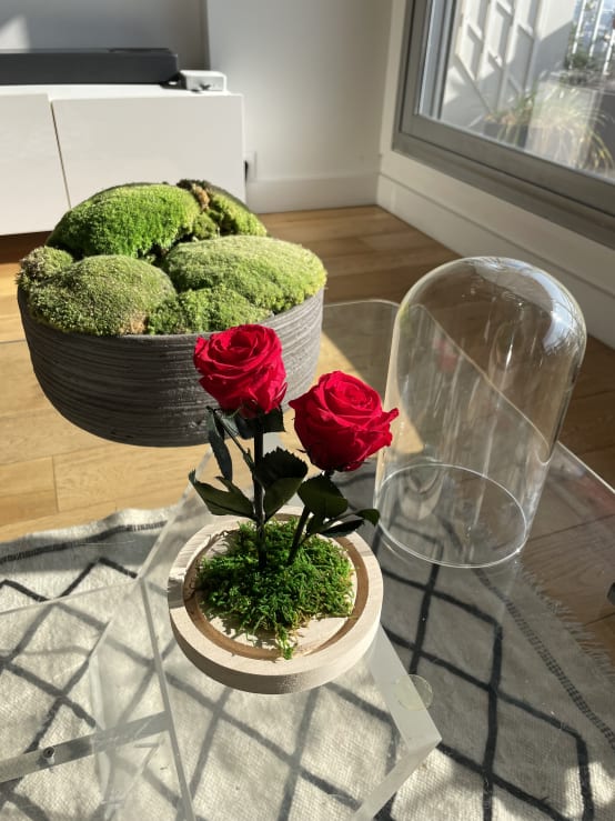 Roses Rouges Stabilisée Sous Cloche - Roses stabilisées - Décoration d ...