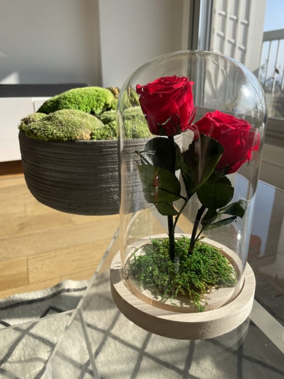 Roses Rouges Stabilisée Sous Cloche - Roses stabilisées - Décoration d ...
