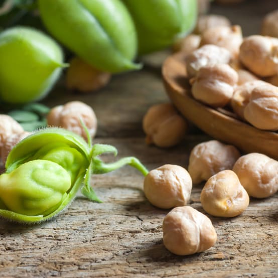 Pois chiche - Cicer arietinum le sachet de 250 graines (100g) - Jardiland