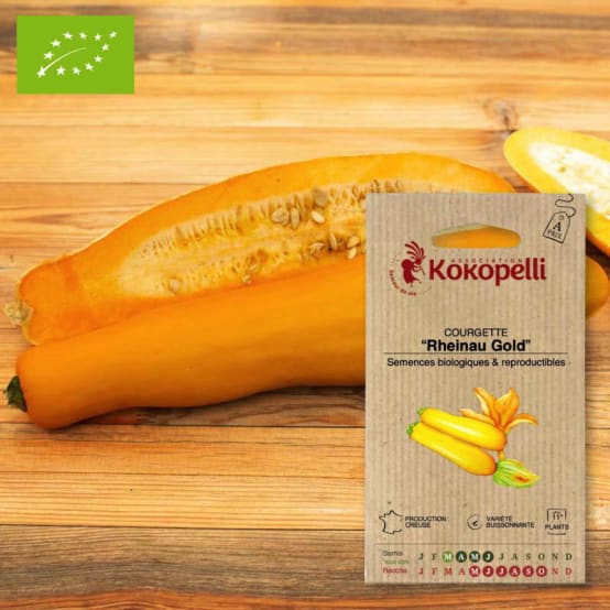 Sachet de graines bio à semer - Courgette Rheinau Gold- Association ...