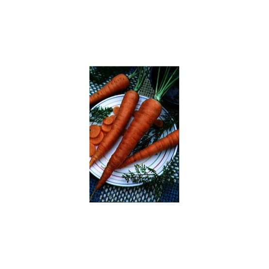 Carotte Valery - Daucus carota le sachet de 3600 graines (5g) - Jardiland