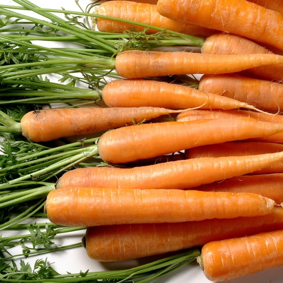 Carotte Berlikum 2 BIO le sachet de 750 graines (1g) - Jardiland