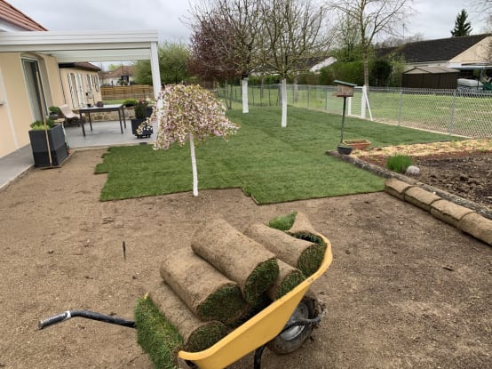 Gazon naturel prêt à poser : 80 m² - Jardiland