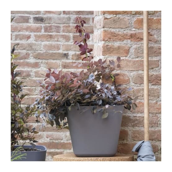 Pot De Fleurs Carré - Deroma - Origin - 30 L - Gris - Jardiland