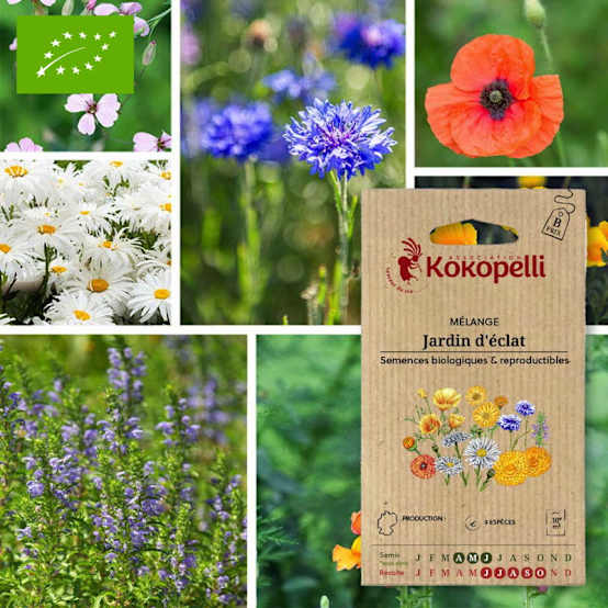 Graines bio à semer - Mélange Jardin d'éclat- Association Kokopelli ...