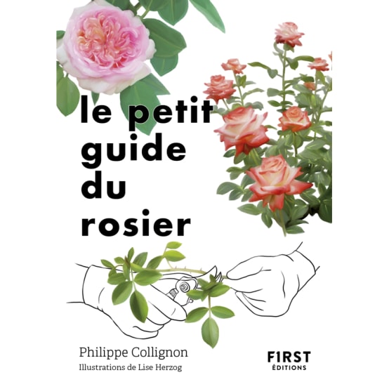Le Petit Guide du rosier - Jardiland