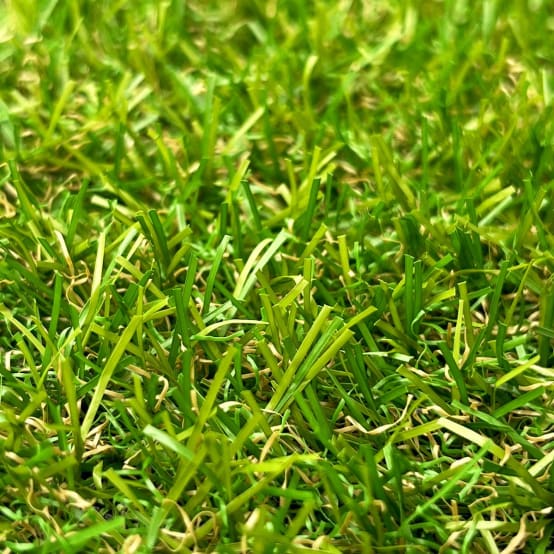 Gazon Synthetique 20mm - 1Mx3M soit 3m2 - MGS - Jardiland