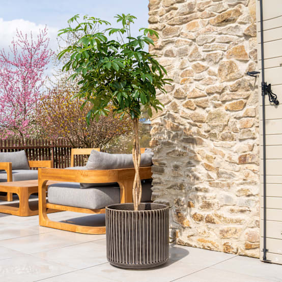 LONDON pot grande taille d'extérieur fait main en terre cuite émaillée ...