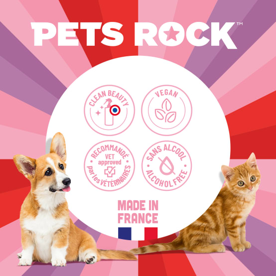 Brume parfumée pour chien et chat 300ML Pets Rock - VANILLA POP - Jardiland
