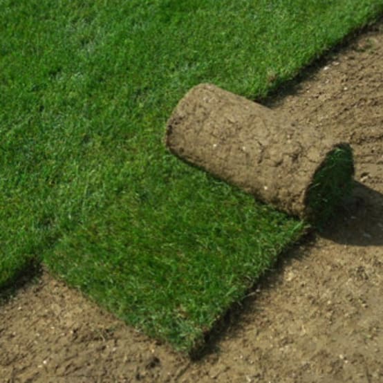 Gazon naturel prêt à poser : 180 m² - Jardiland