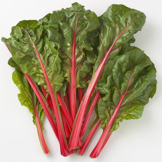 30 Graines de Bette à Carde Rhubarbe Rouge - SemiSauvage Permaculture ...