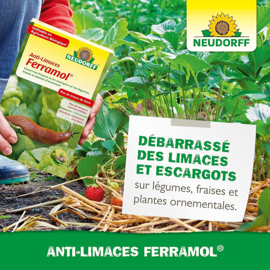NEUDORFF - Anti-Limaces Ferramol | Protection contre les escargots dans ...