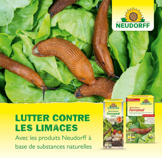 NEUDORFF - Anti-Limaces Ferramol | Protection contre les escargots dans ...